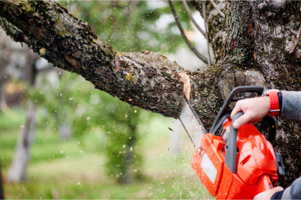 Electric – Berea Utilities