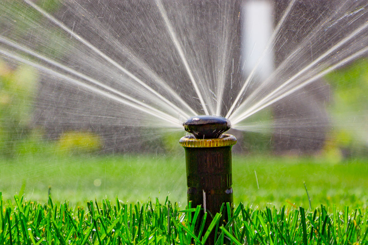 Water – Berea Utilities